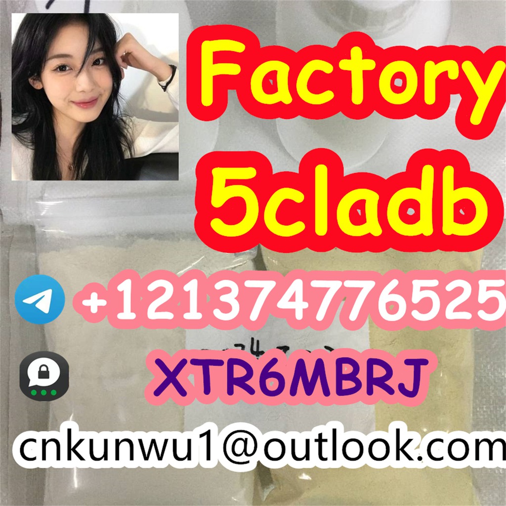 5cladba precursor,5cladba powder