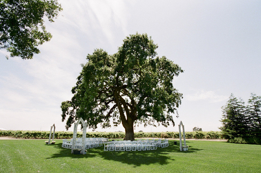 get married under a tree outdoor wedding venues | OneWed.com